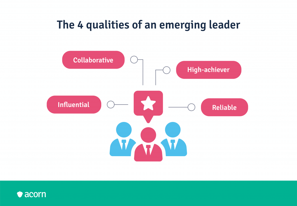How to Create an Emerging Leaders Program | Acorn How to Create an Emerging Leaders Program | Acorn