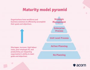 The Workforce Planning Maturity Model: Measuring Maturity | Acorn